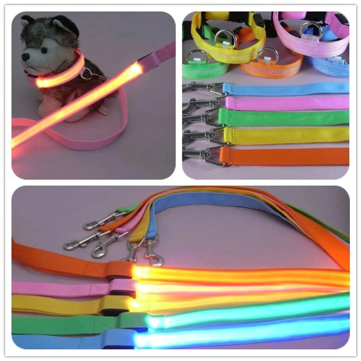 PawCool LED Dog Collar & Leash Set – Glowing Night Safety